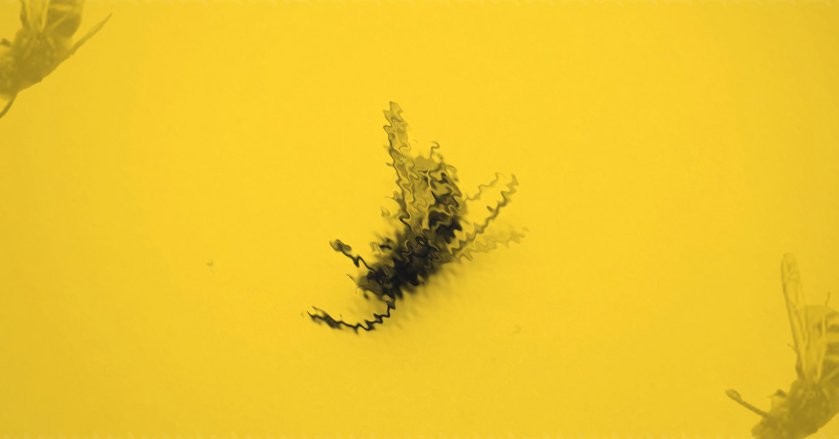 “Lesath: A Star of Pain and Power in The Rote’s New Single” – Punk Rock Mag